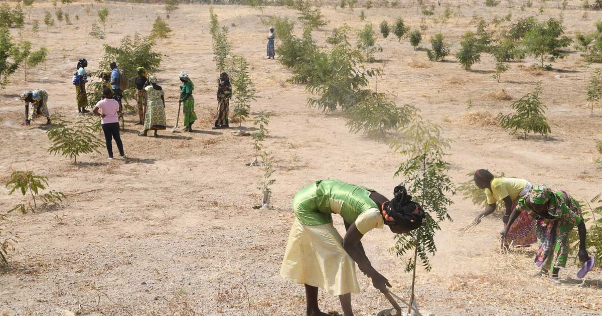 Environment, Disasters and Climate Change | UNHCR Thailand