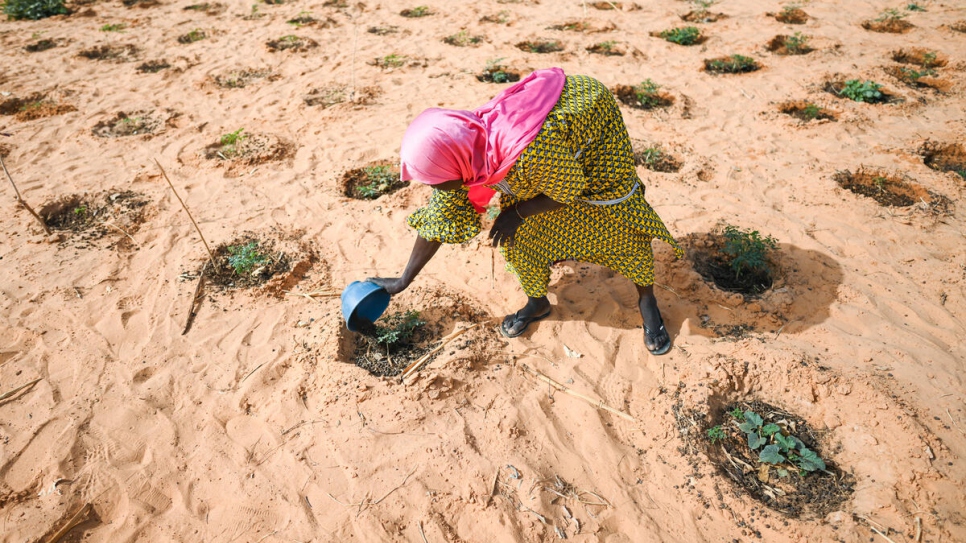 Sahel Region