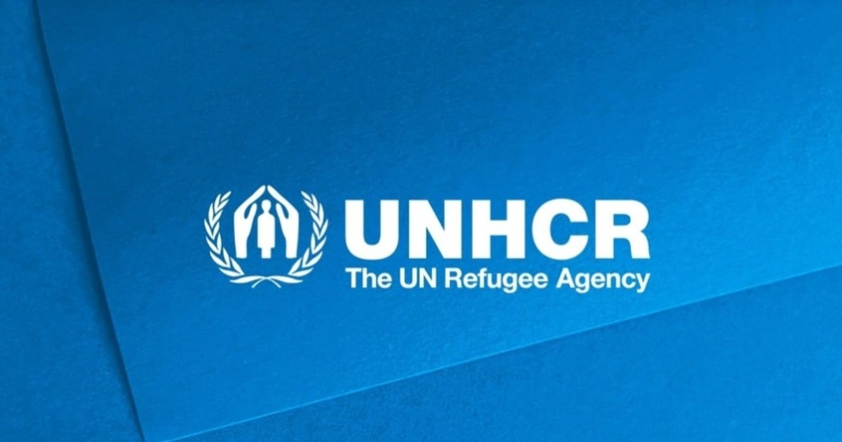 UNHCR, the UN Refugee Agency | UNHCR Turkey