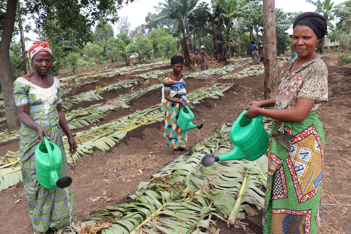 World Food Day: Celebrating efforts to strengthen local food systems ...