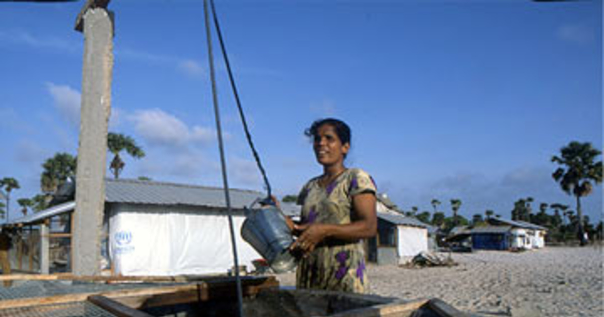 UNHCR says target of 55,000 tsunami shelters reached in Sri Lanka ...