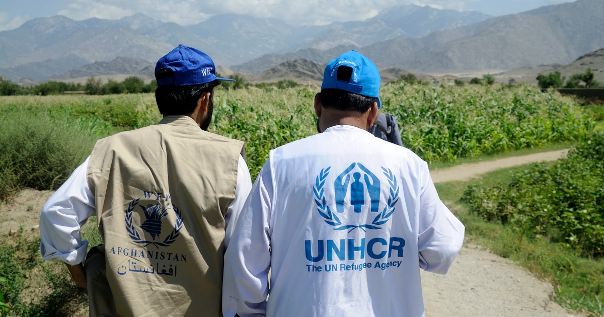 Coordinating assistance | UNHCR UK