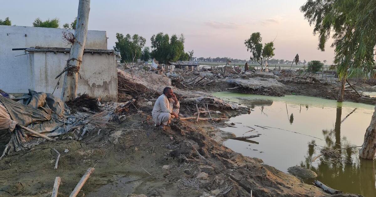 Displaced people from climate frontlines raise their voices at COP27 ...