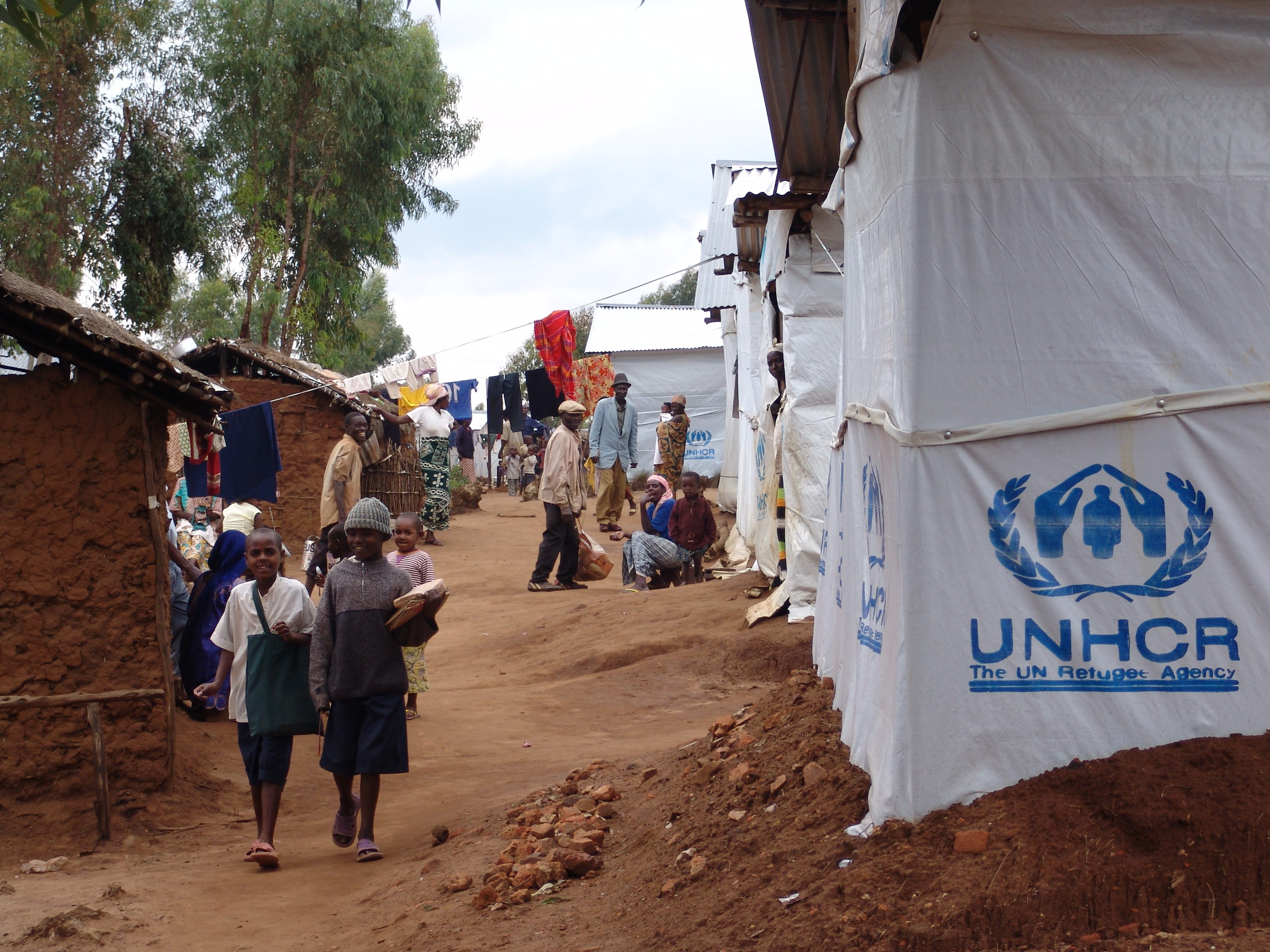Emergency aid to DRC Congolese stranded in Angola | UNHCR US