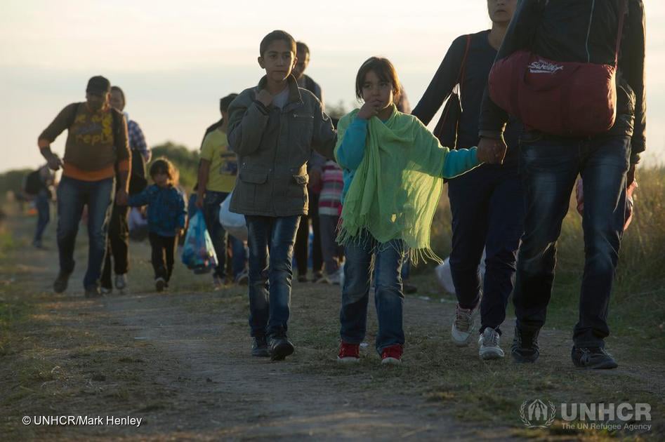 Asylum and migration | UNHCR US