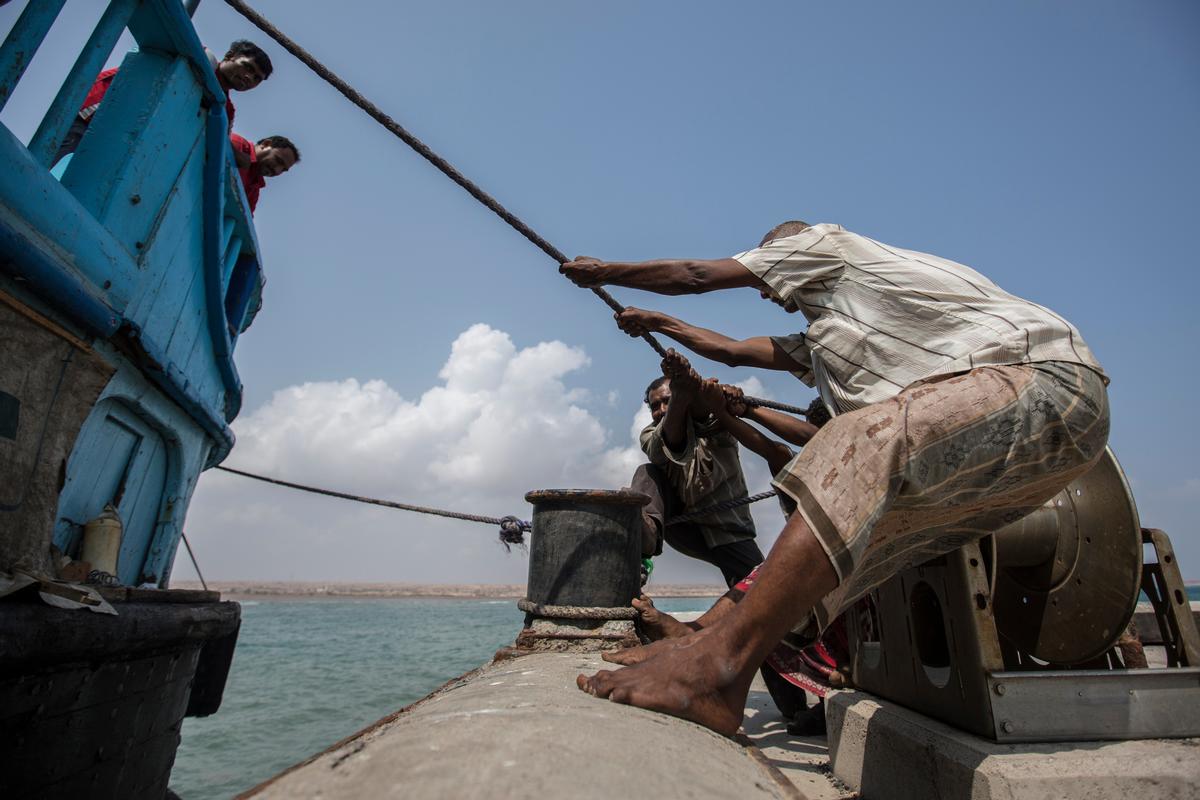 Asylum and migration | UNHCR US