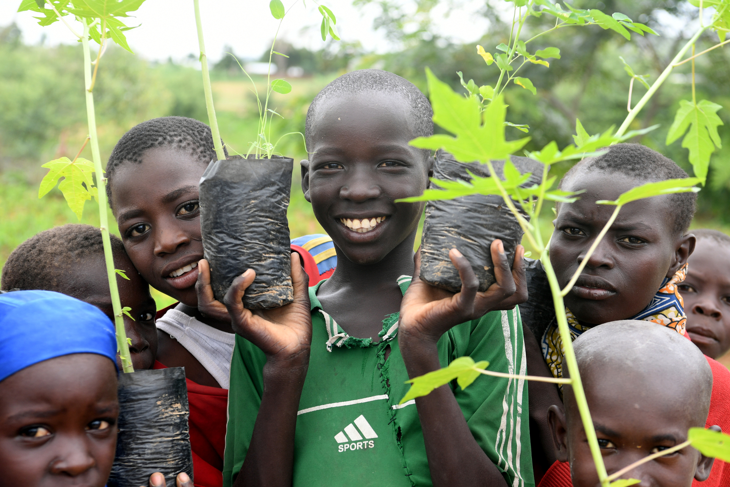 Refugees in Cameroon help build 'Great Green Wall' to combat ...
