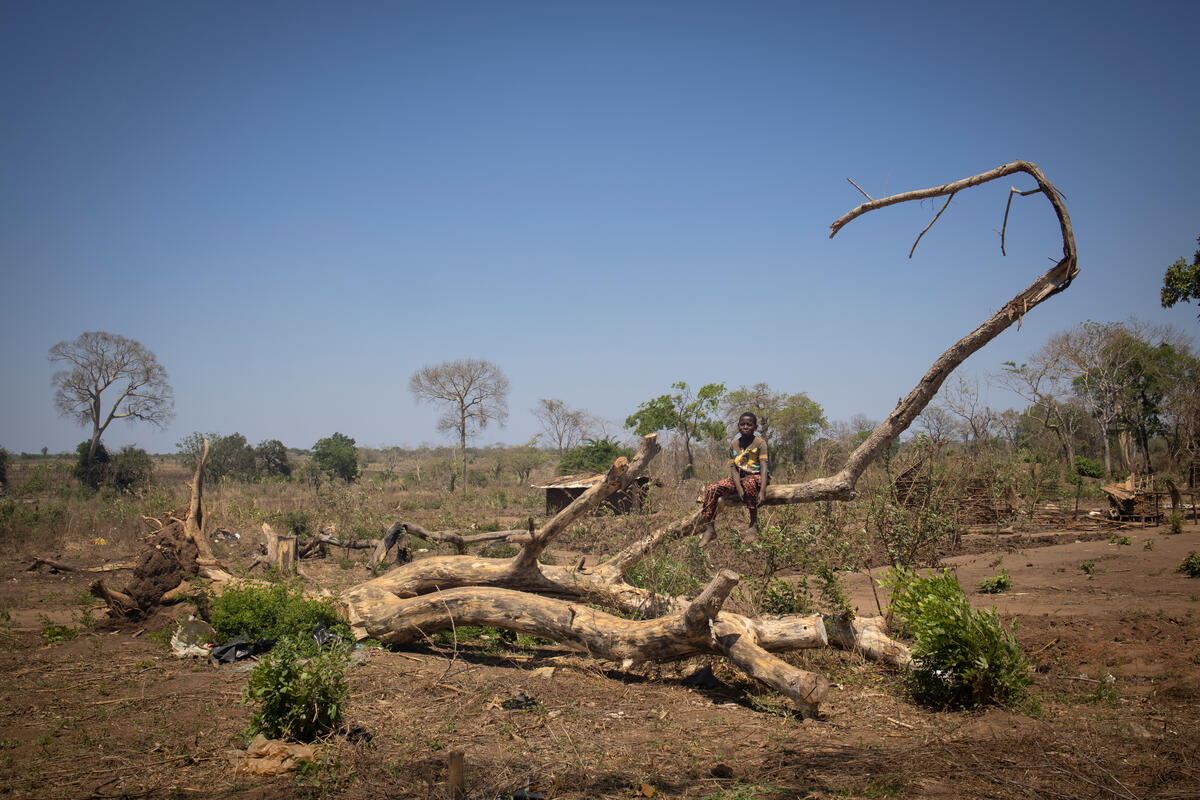 Displaced people join efforts to adapt to climate change in Mozambique | UNHCR US