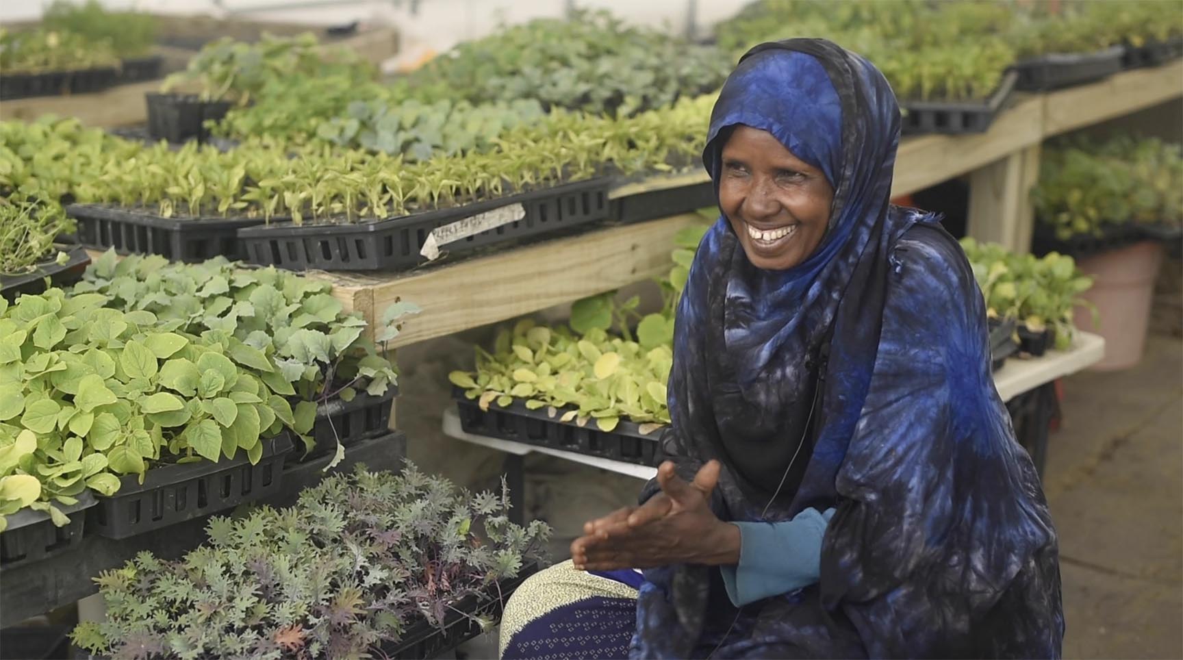 Somali Bantu refugees offer new roots and bountiful harvest in Maine ...