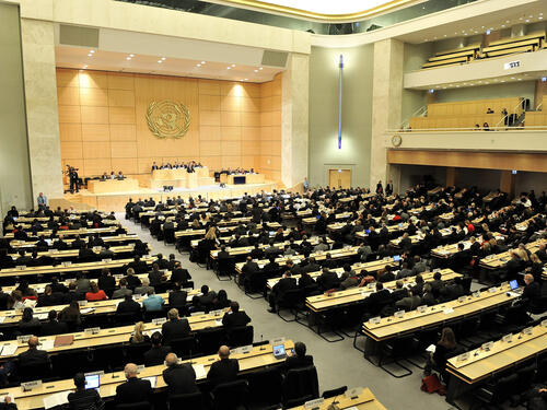 Our partners | UNHCR US