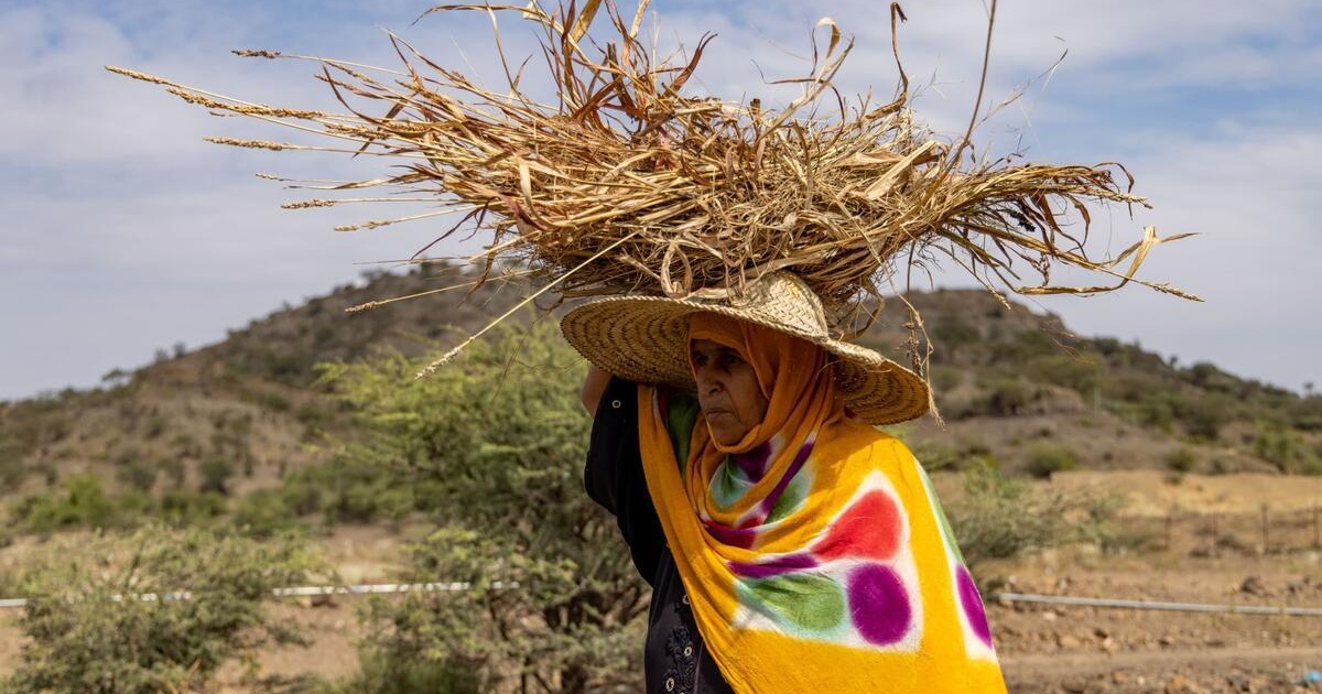 Contributions | UNHCR US