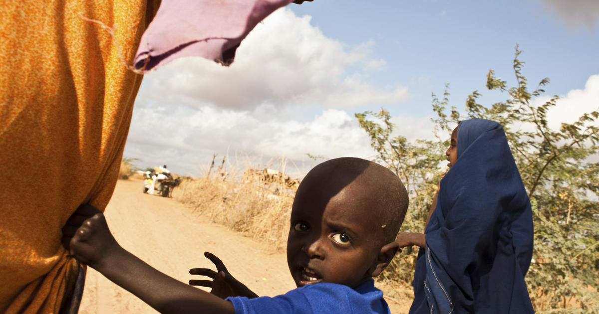 UN Human Rights Committee decision on climate change is a wake-up call ...